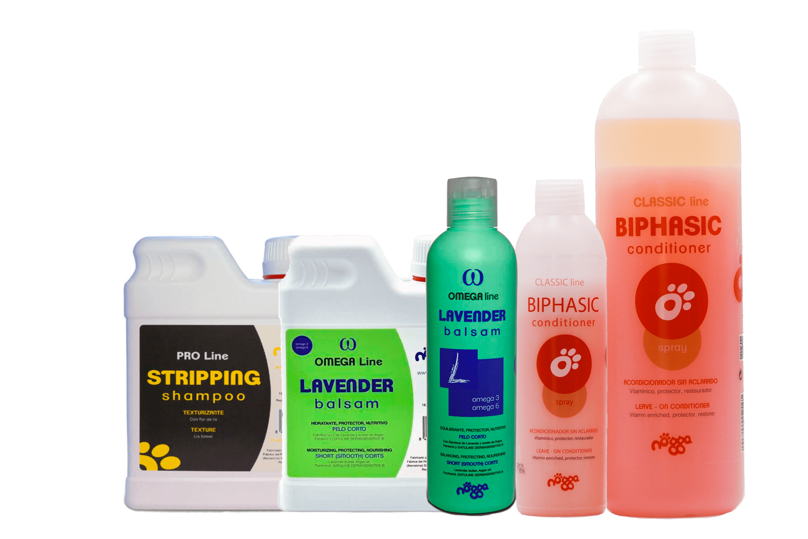 Freschezza fiorita - Stripping – Nogga Italia